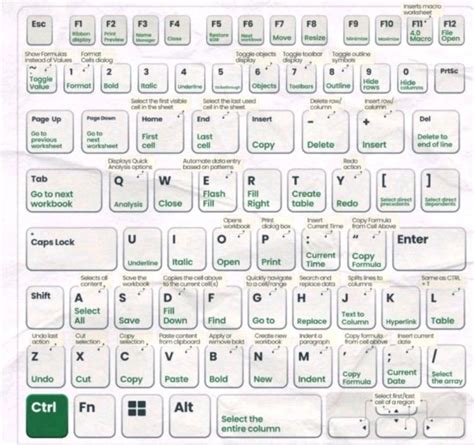 Ranjith Nair On Linkedin Basic Ctrl Excel Shortcuts