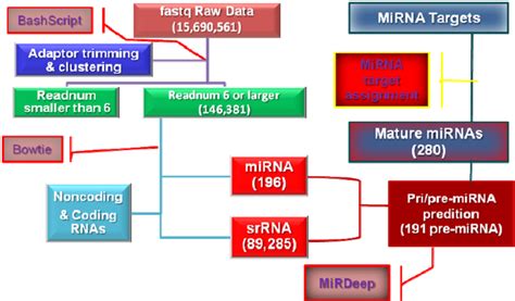 flow diagram showing the processing of the raw sequence data reads from