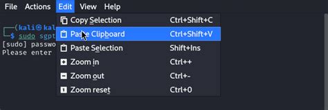 installing shell gpt sgpt chatgpt on kali for hacking ai chatgpt