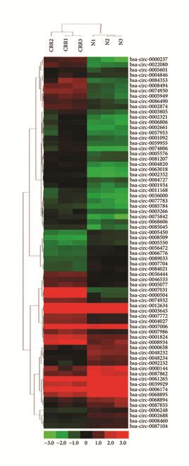 Microarray Analysis Of Circular Rna Expression Profile Associated With