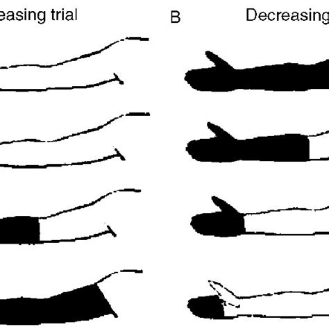 Schematic Representation Of The Spatial Summation Procedure A Download Scientific Diagram