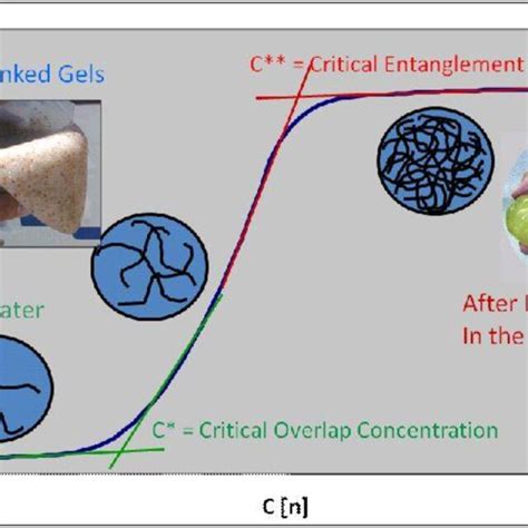 2 Viscosity As A Function Of The Polymer Concentration Multiplied By Download Scientific