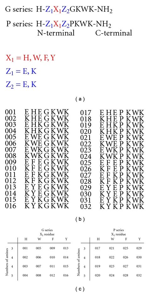 A Design Of The G And P Series Peptide Libraries B Peptide Download Scientific Diagram