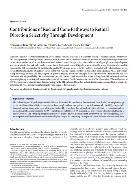 Pdf Contributions Of Rod And Cone Pathways To Retinal Direction