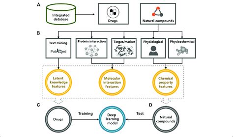 A Systematic Procedure Of Deep Learning Model For The Identification