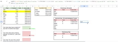 Sorting Dsum Mistake In Choosing The Right Database Records With