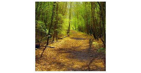 Paul Maietta Obituary 1953 2014 Legacy Remembers