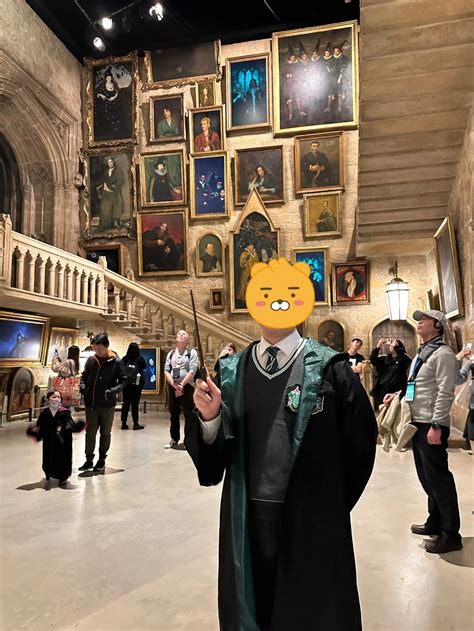 해리포터 슬리데린 옷 세트 당근 중고거래