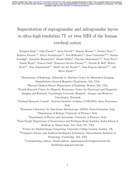 Pdf Segmentation Of Supragranular And Infragranular Layers In Ultra High Resolution 7t Ex Vivo