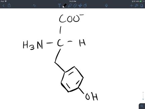 Amino Acids Biochem Flashcards Quizlet Amino Acids Biochem Flashcards Quizlet