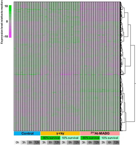 Heatmap Clustering Of All Rna Seq Data Used In This Analysis The