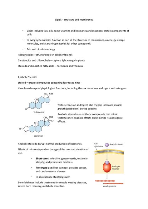 Lipids Short Notes Lipids Structure And Membranes Lipids Includes Fats Oils Some Vitamins