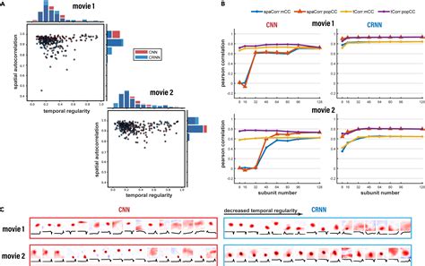 Unraveling Neural Coding Of Dynamic Natural Visual Scenes Via Convolutional Recurrent Neural