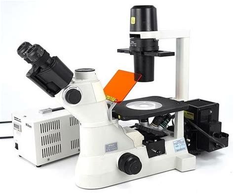 12 Microscope Nikon Eclipse Ts100 Used For Cell Visualization