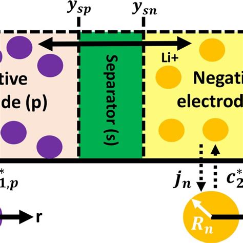 Schematics Of The Lib Cell Model Download Scientific Diagram