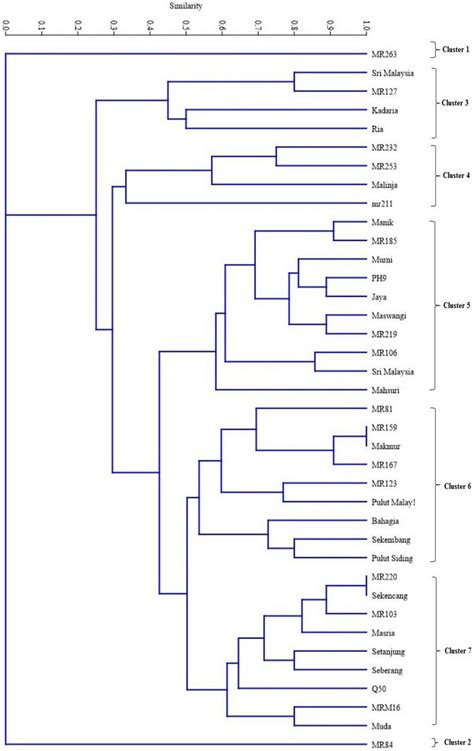 Upgma Dendrogram Showed The Patterns Of Resistance To Bacterial Blight