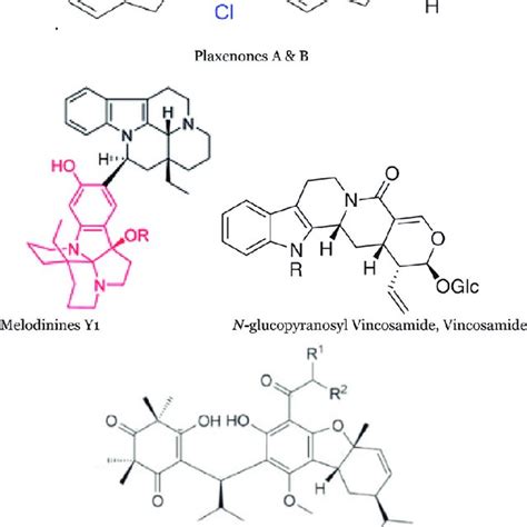 Structure Of Sesterterpene Download Scientific Diagram