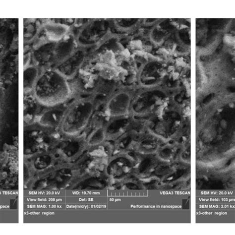 Sem Image Of Almond Shell Activated Carbon 312 Energy Dispersive Download Scientific Diagram