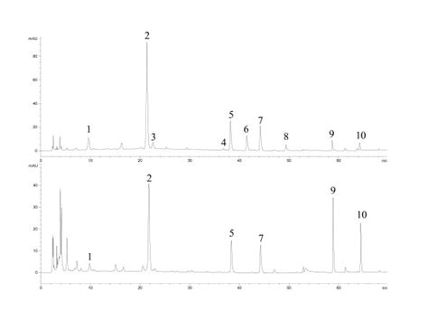 Hplc Chromatograms Of Raw And Processed Radix Polygoni Multiflori From Download Scientific