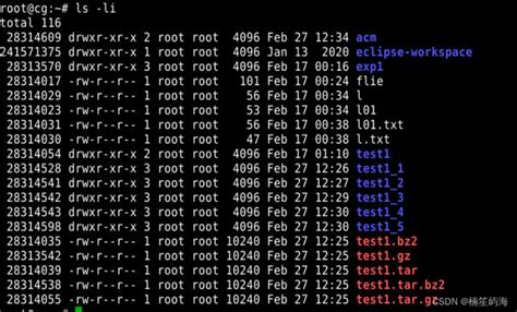 linux操作系统基本命令的使用 linux系统基本使用实验 csdn博客