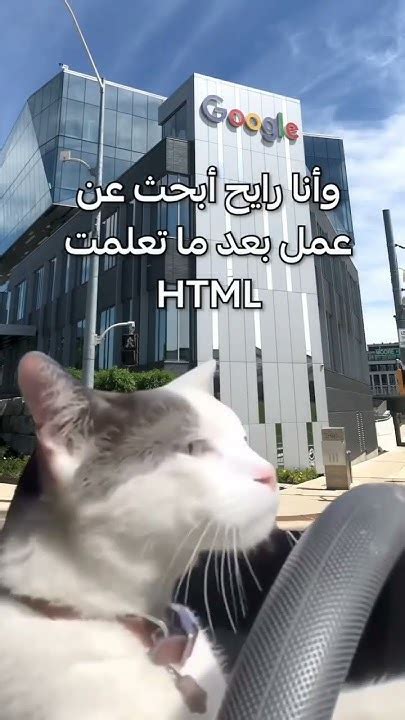 😂😂 مبرمجين مبرمج برمجة coding porgram تطوير code مهندس برمجيات visual vscode عمل