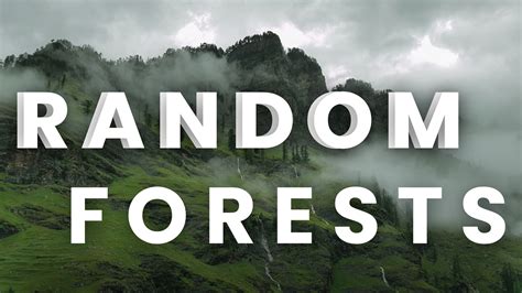 Random Forests A Beginners Guide By Yd Stackademic