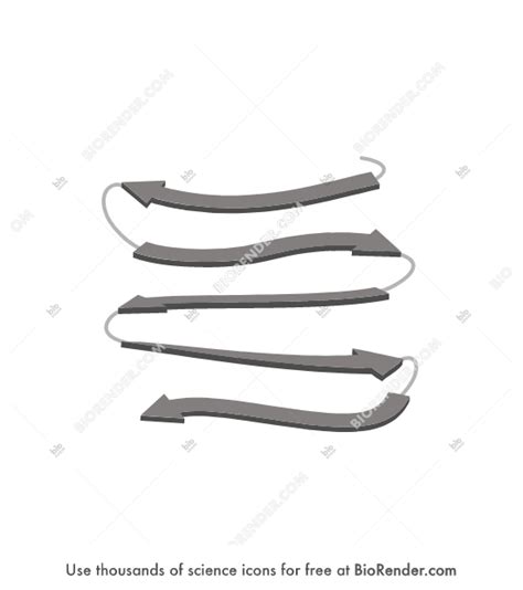 Free Beta Sheet Icons Symbols Images BioRender