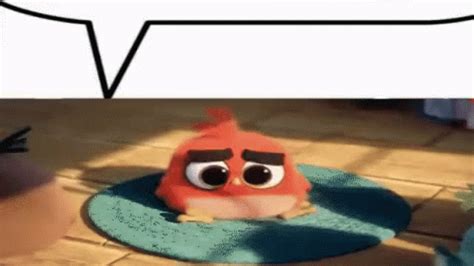 Angry Birds Red  Angry Birds Red Discover And Share S