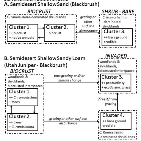 Provisional State And Transition Model Illustrating Alternate Ecosystem