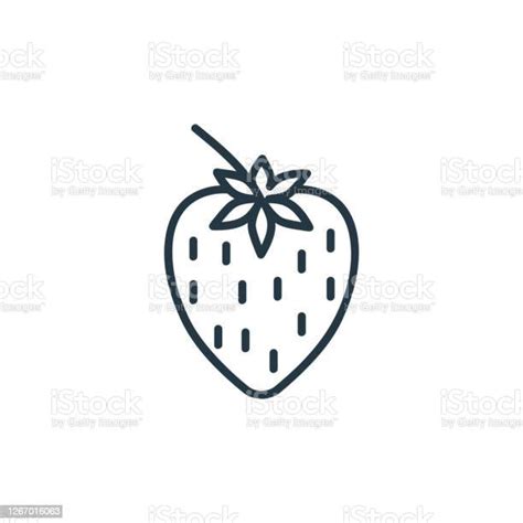 봄 콘셉트의 딸기 아이콘 벡터 딸기 편집 스트로크의 얇은 라인 일러스트 웹 및 모바일 앱 로고 인쇄 미디어에 사용하기위한 딸기 선형 기호 0명에 대한 스톡 벡터 아트 및