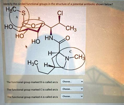 Solved Identify The Circled Functional Groups In The Structure Of A