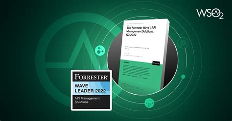 Wso2 Is Named A Leader In Api Management Software Q3 2024 Report Cxo Insight Middle East