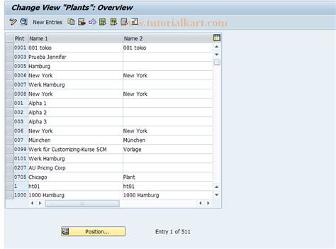 Ox10 Sap Tcode Customize Plant