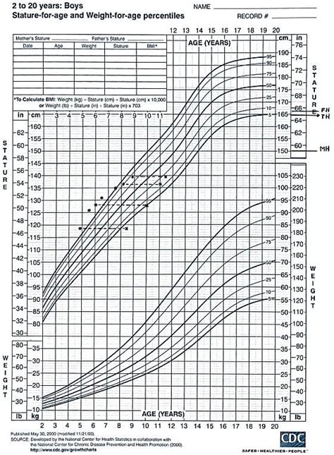 Height Growth Chart Showing Progression Of Chronological Age And Bone