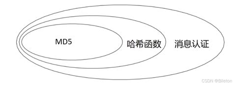 md5消息摘要算法学习 md5摘要 csdn博客