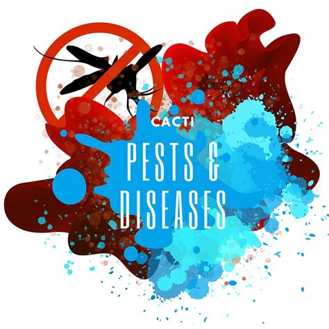Full Guide On Cactus Diseases Pests And Treatments