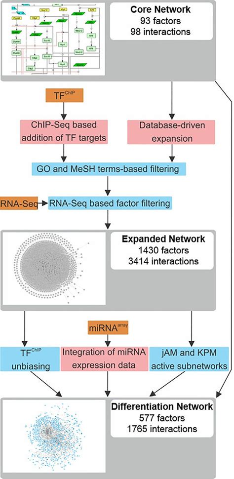 overview of the network reconstruction workflow we employed literature