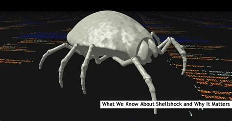 What We Know About Shellshock So Far And Why The Bash Bug Matters