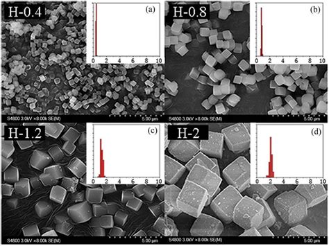 The Sem Results Of Ssz 13 With Different Sizes Sial 25 A H 04