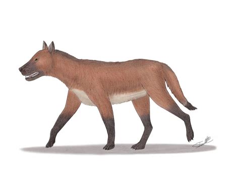 Aenocyon Dirus By Angeloraptorex230 On Deviantart