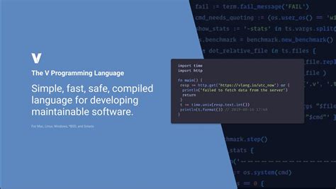 v programming language