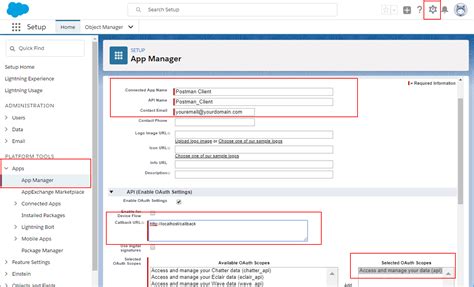 Introduction To The Salesforce Rest Api Using Postman Ballard Software