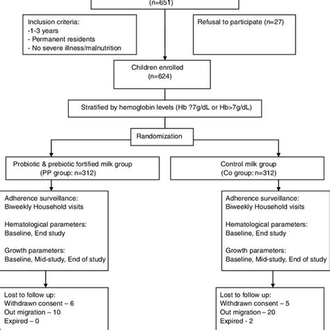 Schematic Representation Of Double Blind Randomized Controlled Trial Download Scientific Diagram