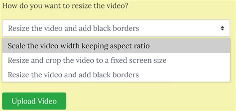 2024 Latest How To Resize And Scale Videos Windows Mac Online