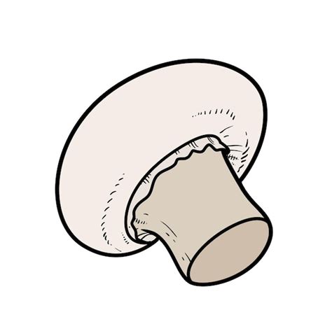 흰색 배경에 격리된 페이지를 색칠하기 위한 측면 색상 변형의 버섯 샴피뇽 프리미엄 벡터