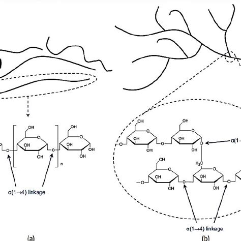 Carbohydrate Based Melanoidin Structure 24 Download Scientific Diagram