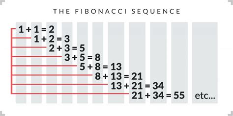 Hiểu Về Dãy Số Fibonacci Là Gì Và áp Dụng Trong Cá Cược Hiểu Về Dãy Số Fibonacci Là Gì Và áp Dụng Trong Cá Cược