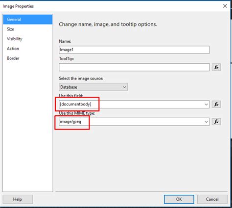 Click On Preview And Your Image Should Be Rendered In Your Report