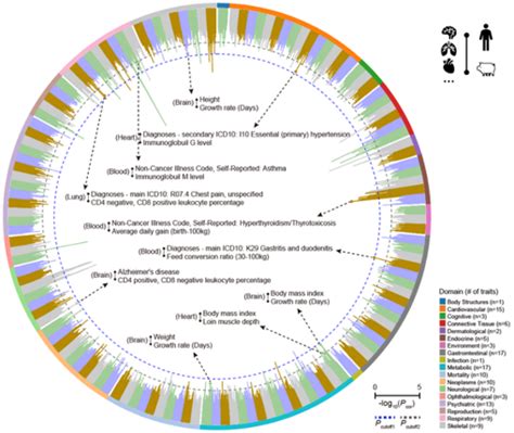 我国科学家构建迄今最大规模猪多组织基因表达图谱 知乎