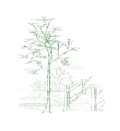 Tree Near Bridge Stock Vector Illustration Of Branch 38202010